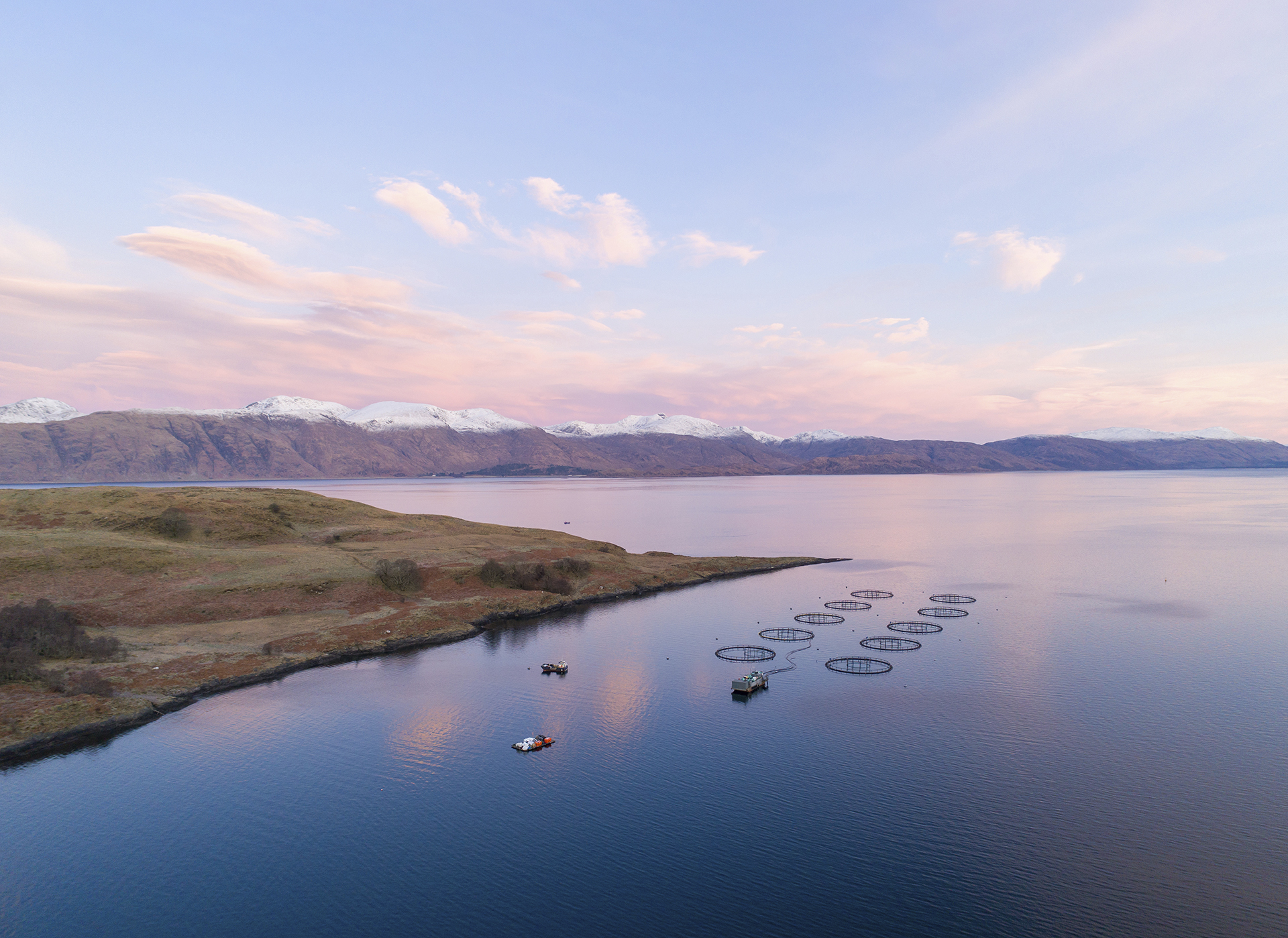 Success Criteria for New Production Technology - INAQ